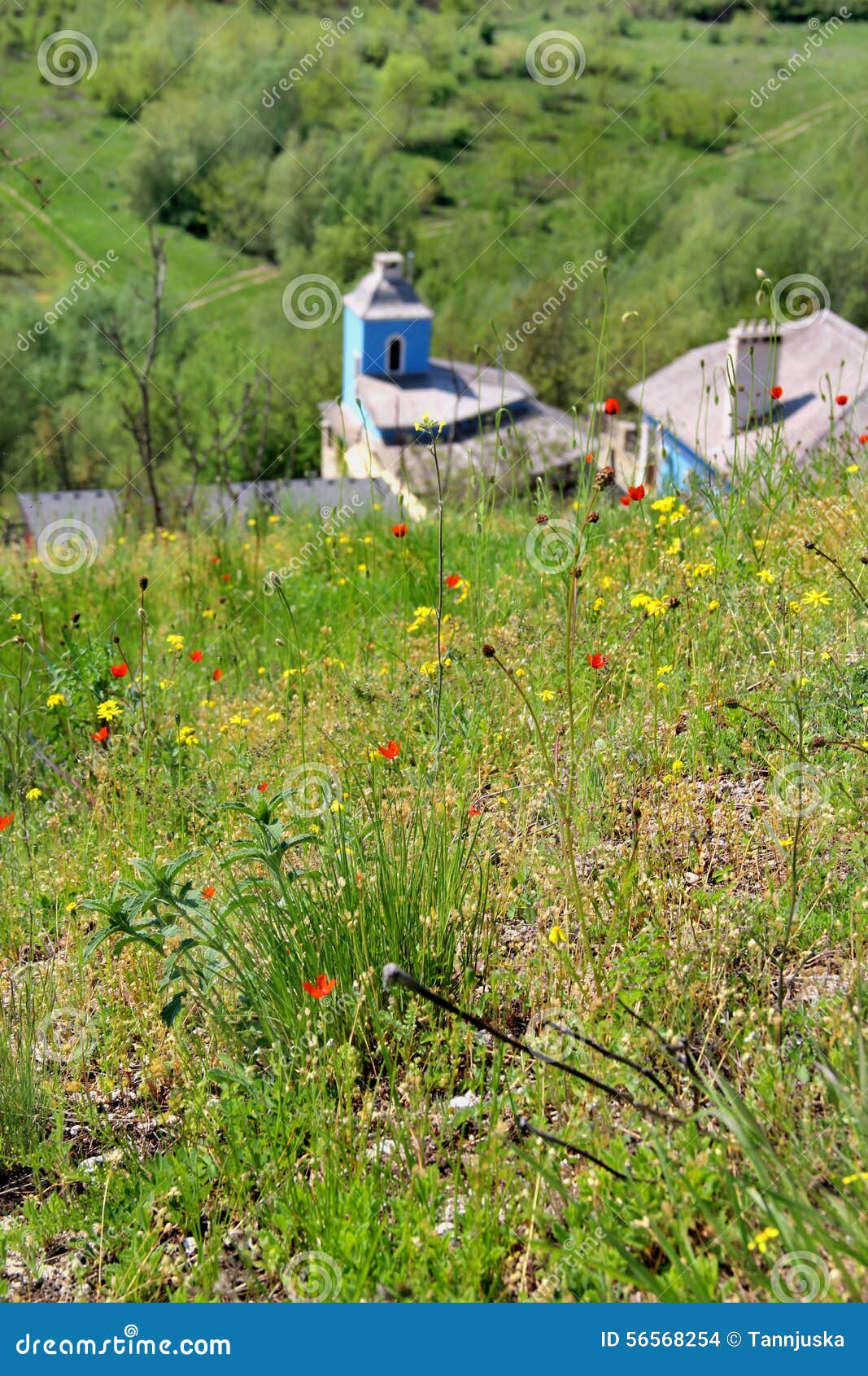 Cave Monastery in Moldova, Orheiul Vechi Stock Photo - Image of flowers ...