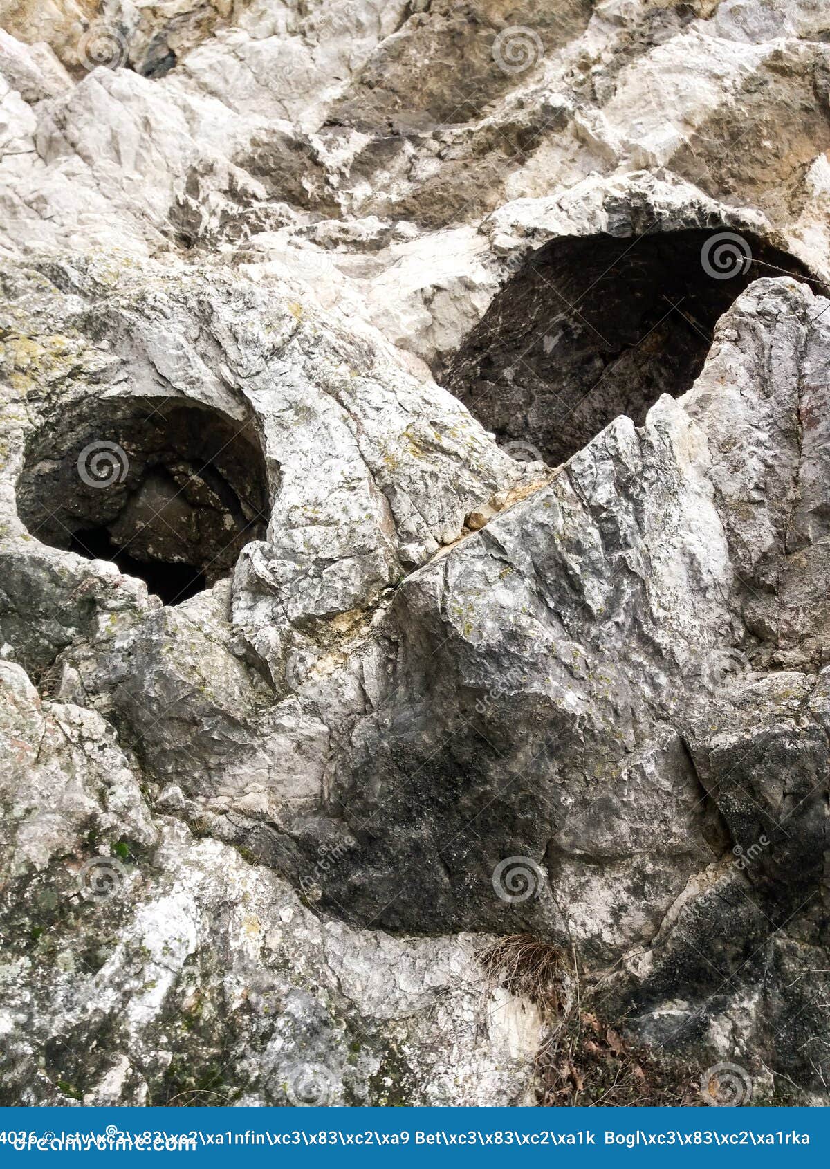 The Monster In The Cave Stock Image | CartoonDealer.com #80516155