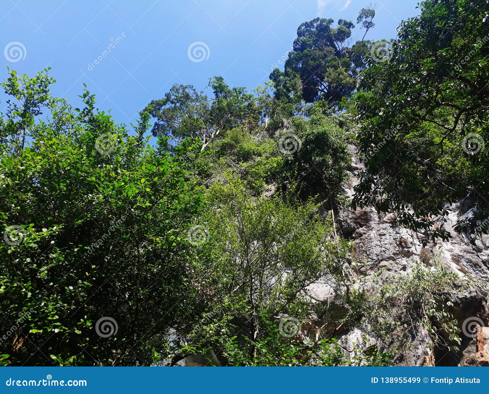 Cave Nature viwe stock image. Image of shadow, cave - 138955499