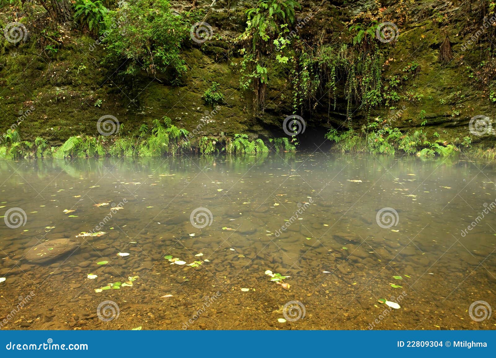 Cave and pond in forest stock photo. Image of landscape - 22809304