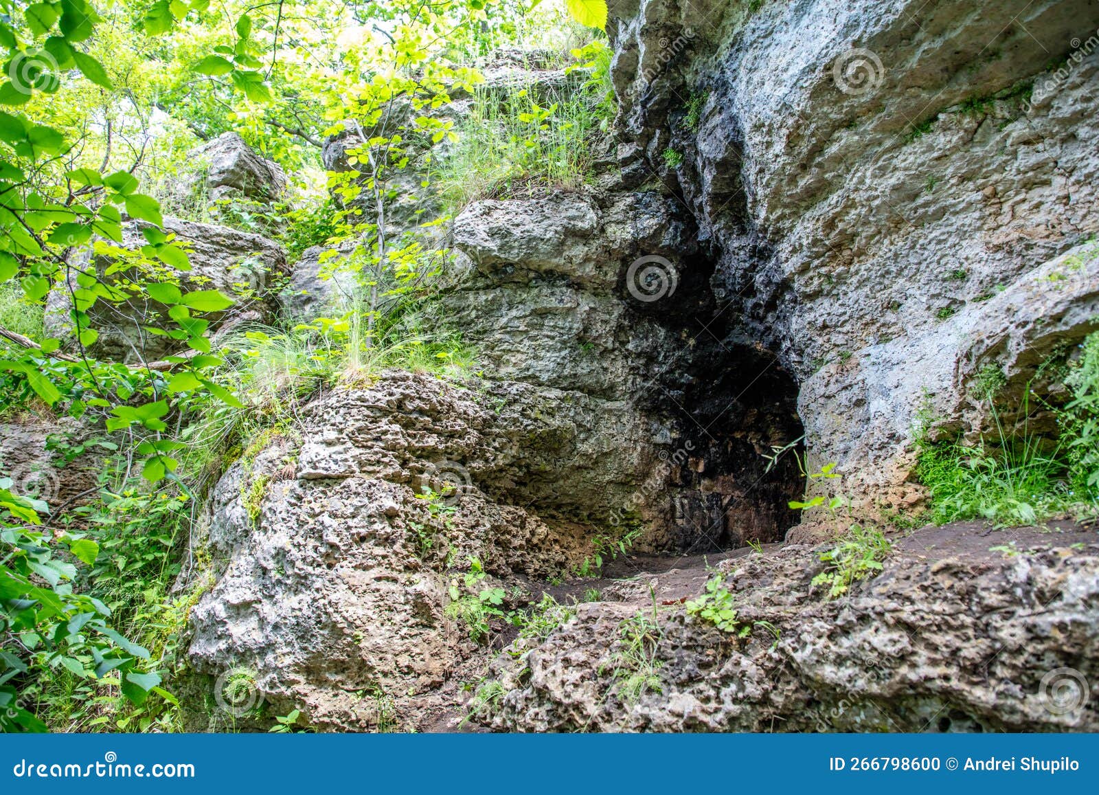 Cave in the rock in nature stock photo. Image of deep - 266798600