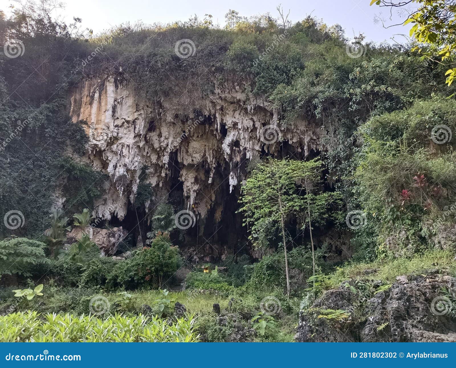 A Cave on the Slope of a Cliff Stock Photo - Image of view, growth ...