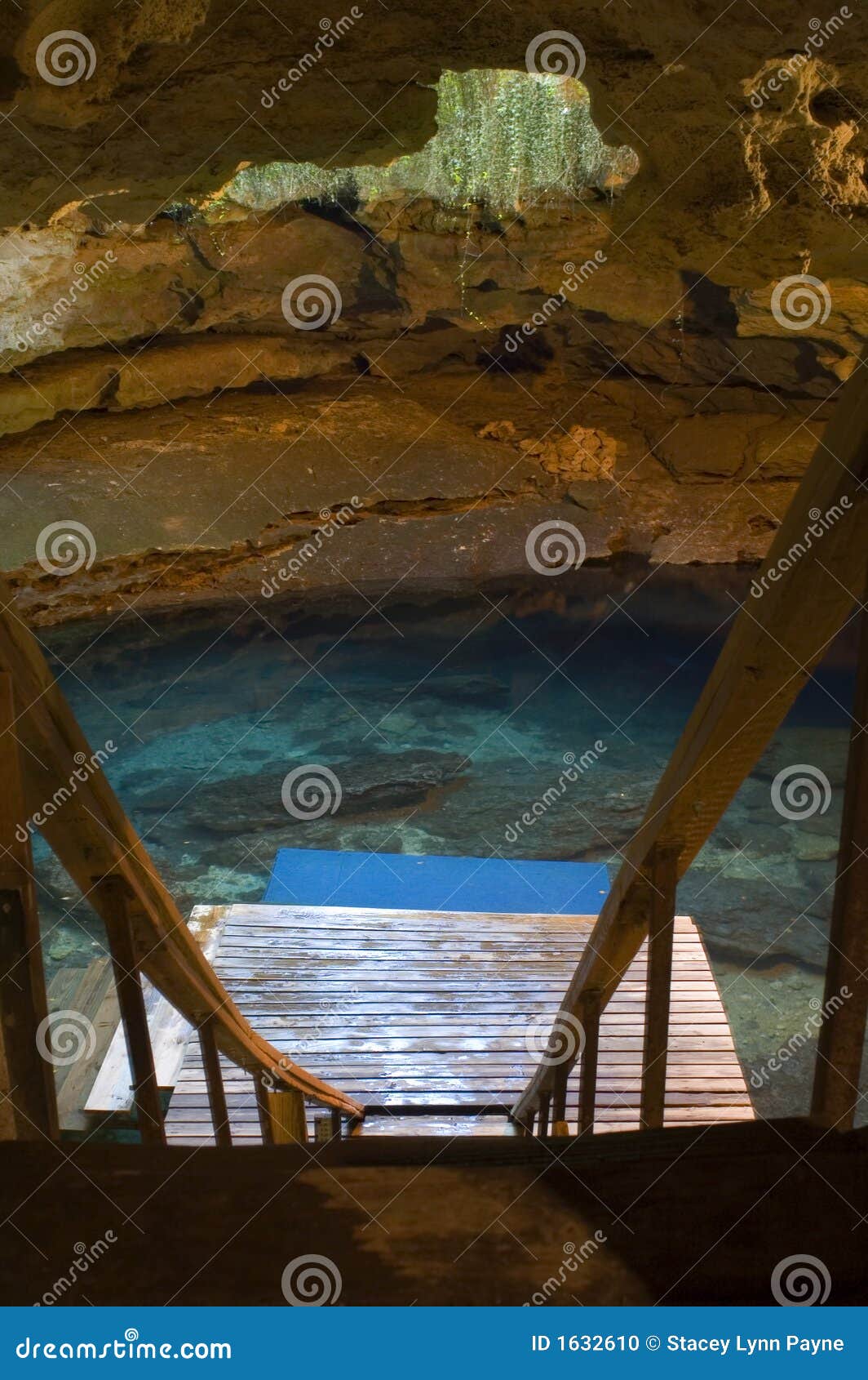 Cave Spring stock photo. Image of serene, vines, dive - 1632610