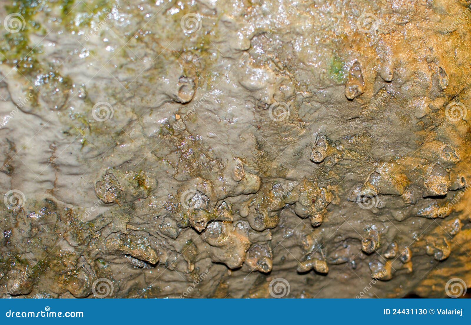 Cave Texture stock photo. Image of cavern, drip, stalactites - 24431130