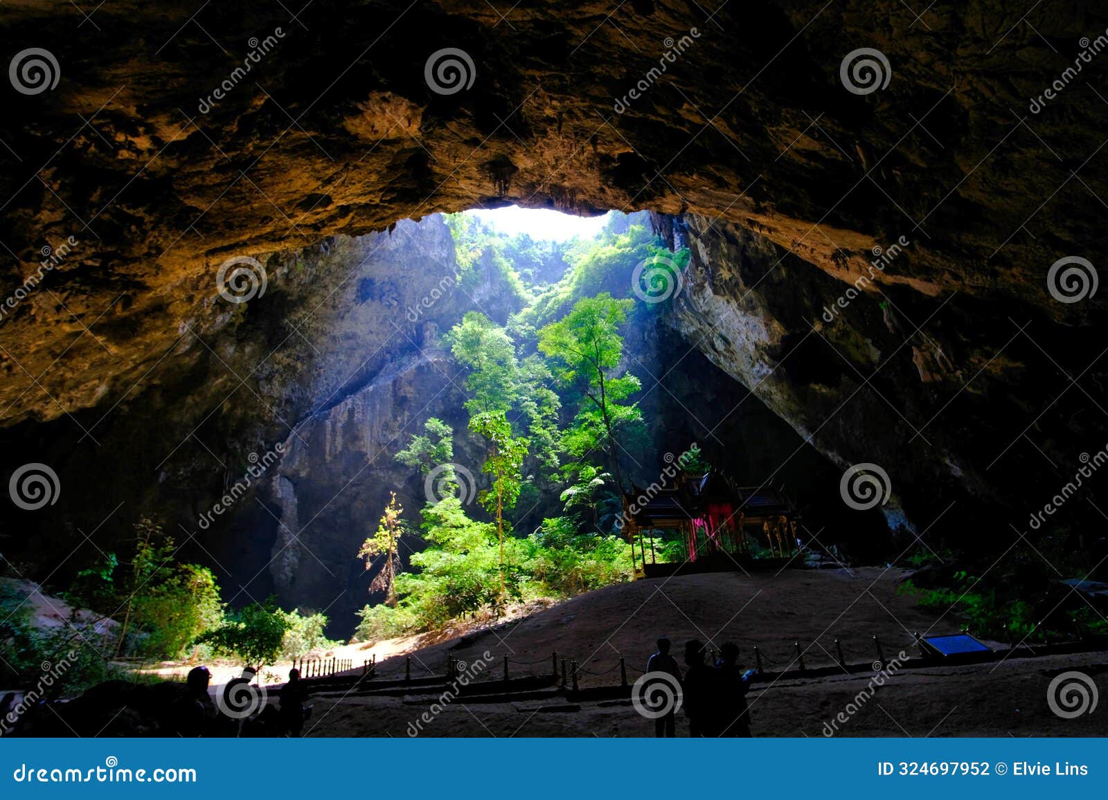 A Cave with a Tree Growing Inside of it Stock Photo - Image of sunlight ...