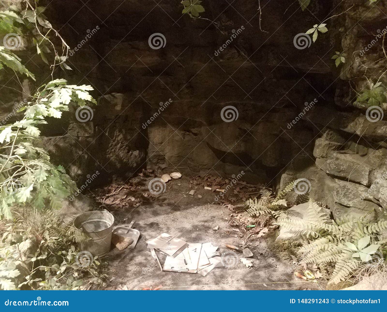 Cave with Turtle Shells and Archaeology Tools Stock Image - Image of ...