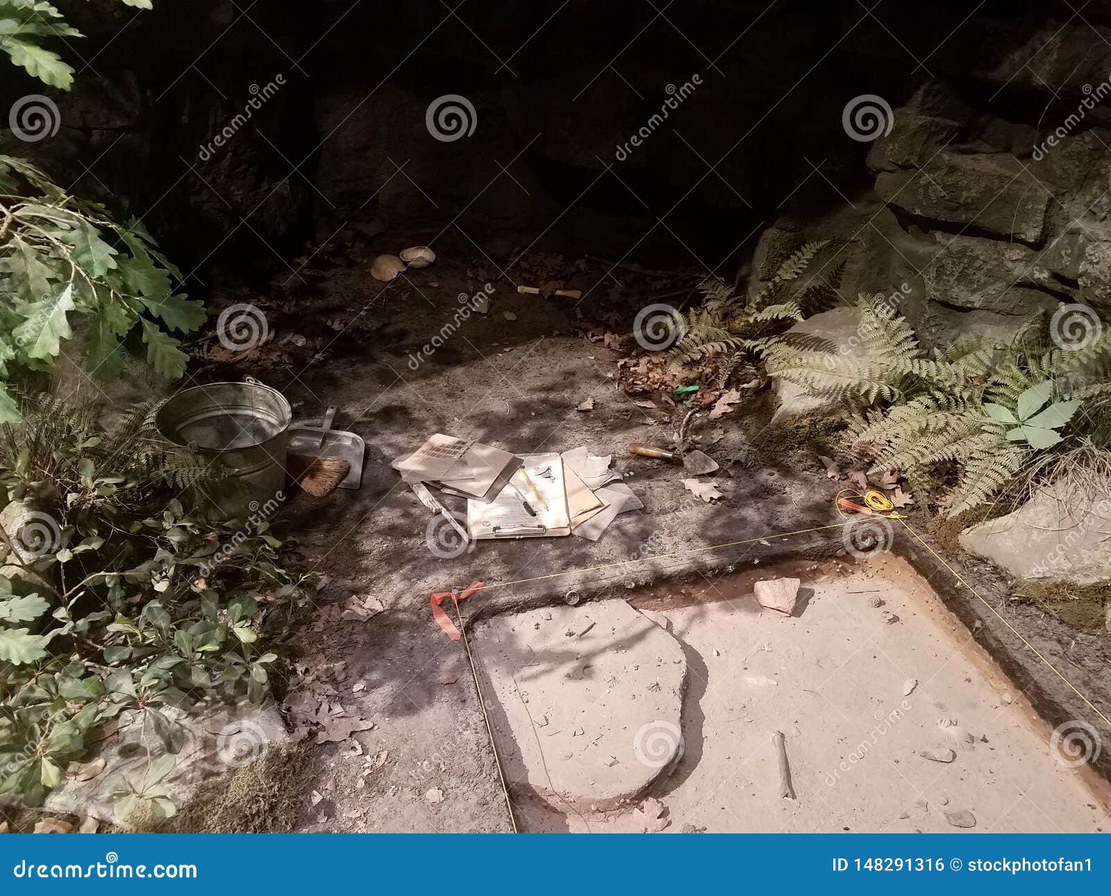 Cave with Turtle Shells and Archaeology Tools Stock Photo - Image of ...