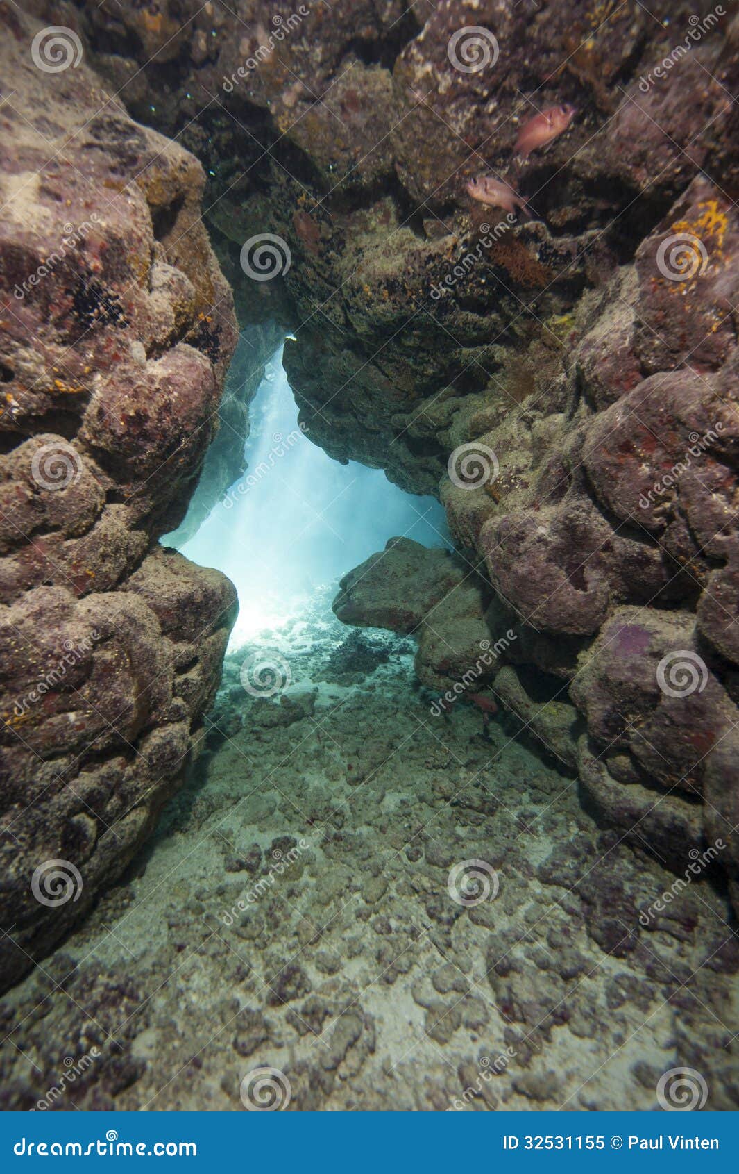 Cave in Underwater Tropical Reef Stock Image - Image of atmospheric ...