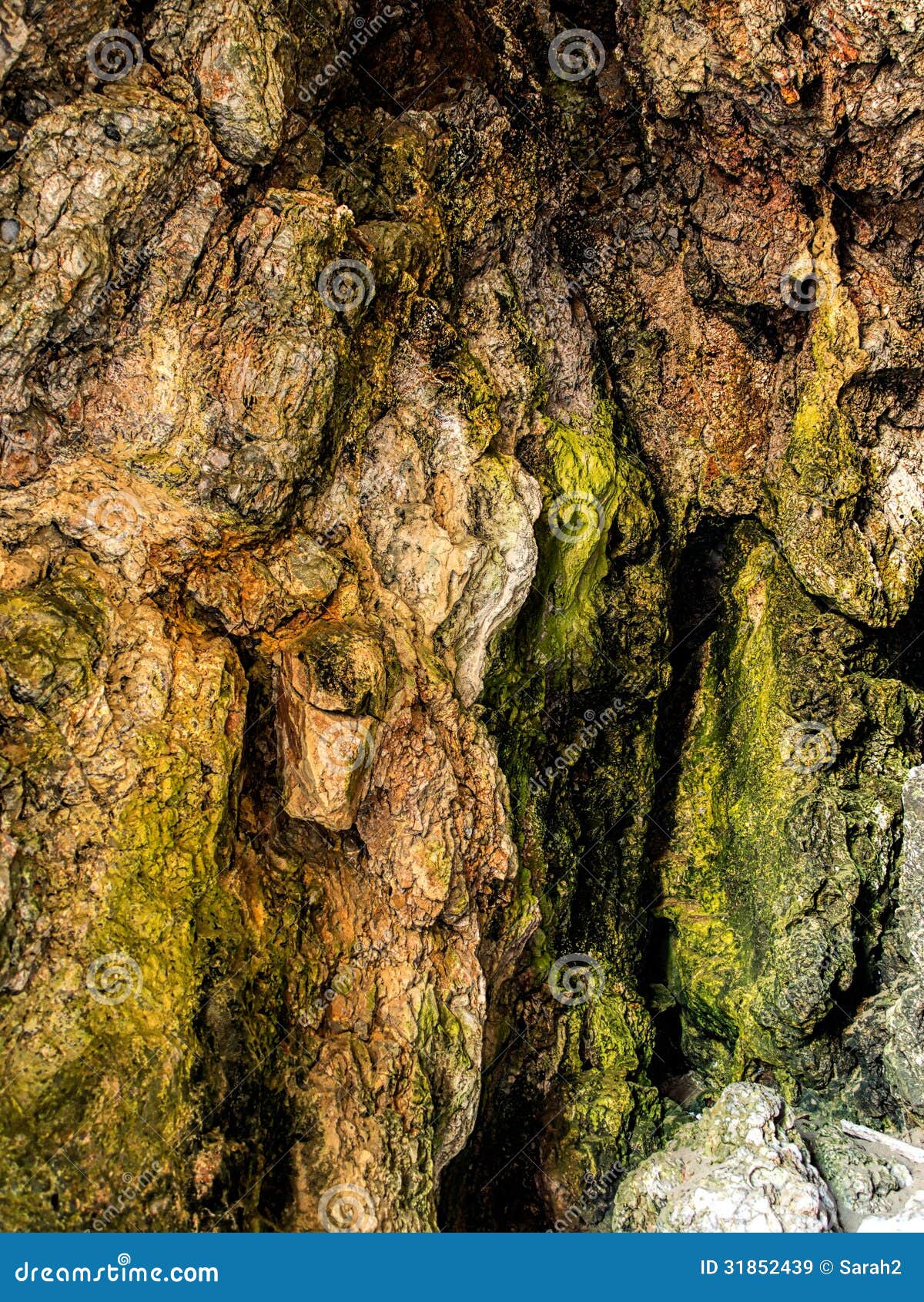 Cave Wall with Water, Algae - Background Stock Image - Image of rocky ...