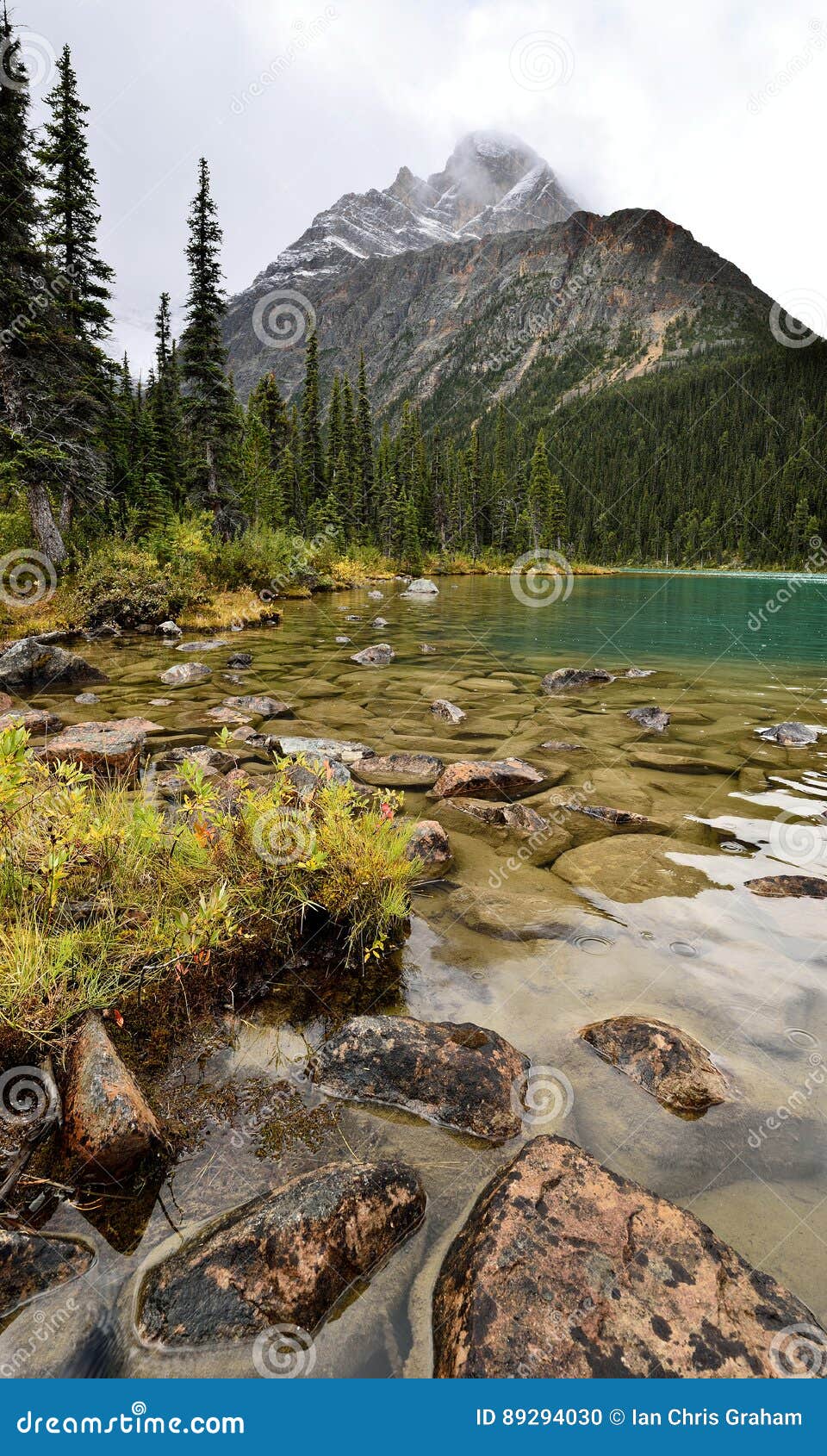 Cavell Lake Mount Edith Cavell Stock Photo - Image of environment ...