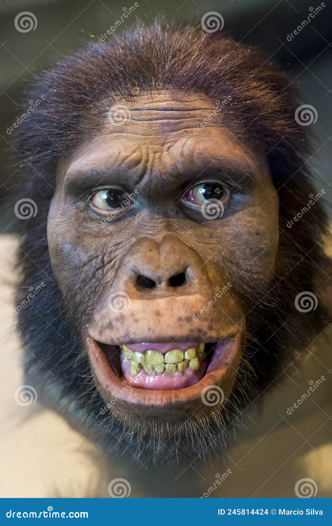 The Caveman editorial stock image. Image of august, africanus - 245814424