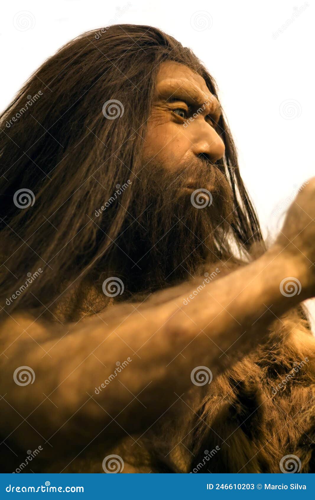 Caveman stock image. Image of extinct, australopithecus - 246610203