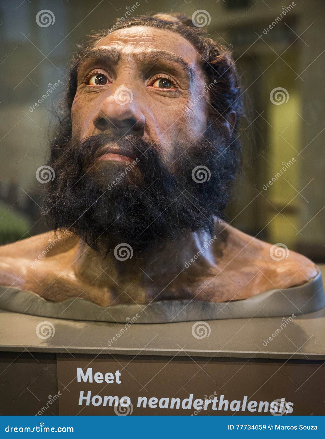 Caveman editorial stock image. Image of hunter, ancestor - 77734659