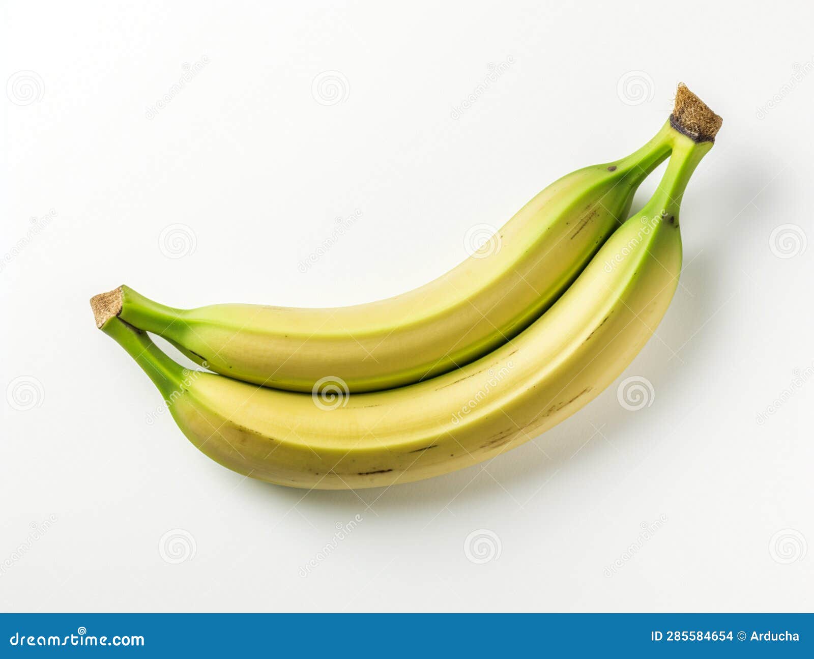 Cavendish Banana White Background Photography Stock Illustration ...