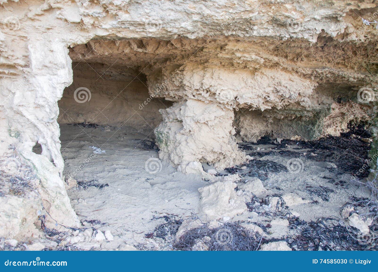 Caverne Naturali Del Calcare Fotografia Stock - Immagine di pinguino ...
