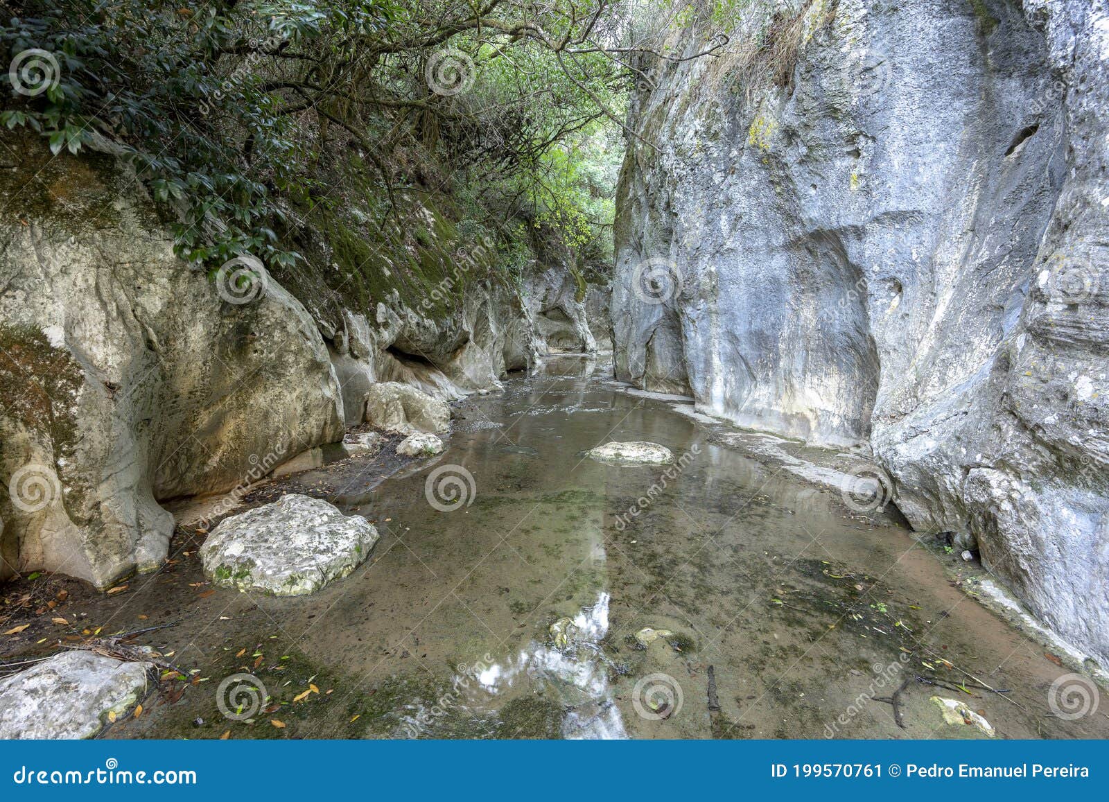 Cavernous Rock Formations in the Shape of a Gorge Belonging To the ...