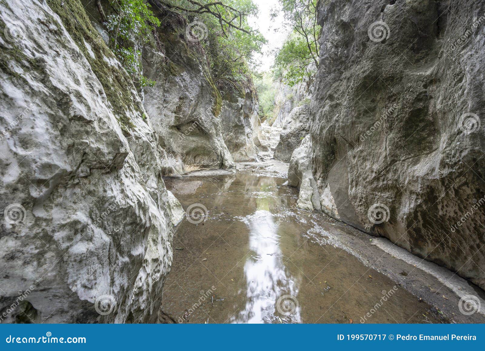 Cavernous Rock Formations in the Shape of a Gorge Belonging To the ...
