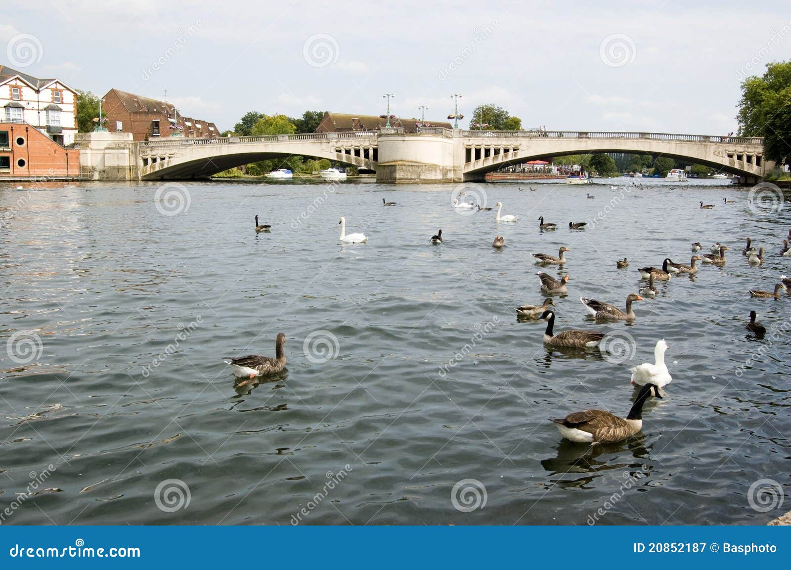 Caversham Bridge, Reading, Berkshire Stock Image - Image of reading ...