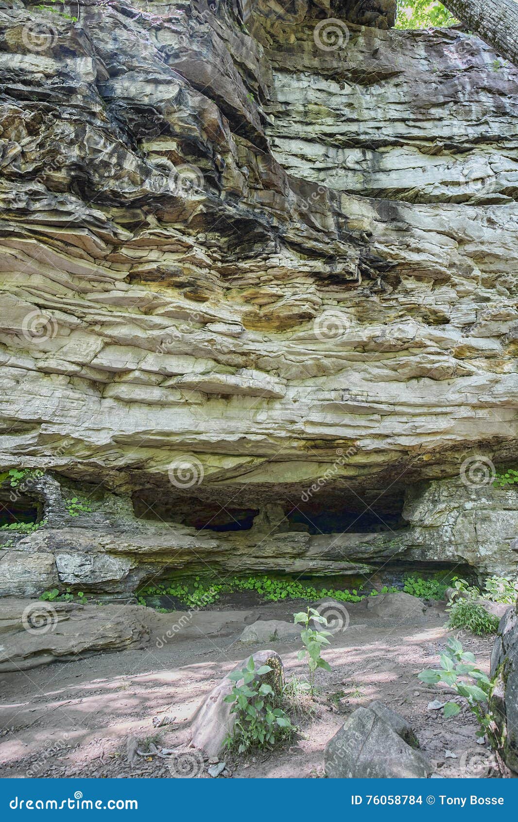 Caves at Bottom of Ravine stock photo. Image of corrosion - 76058784