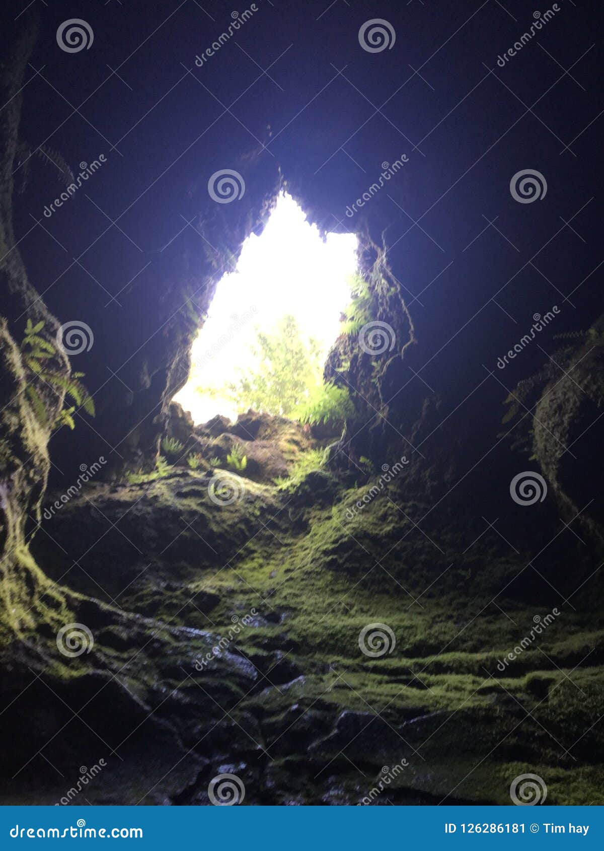 Caves exit stock image. Image of caves, exit, cave, washington - 126286181