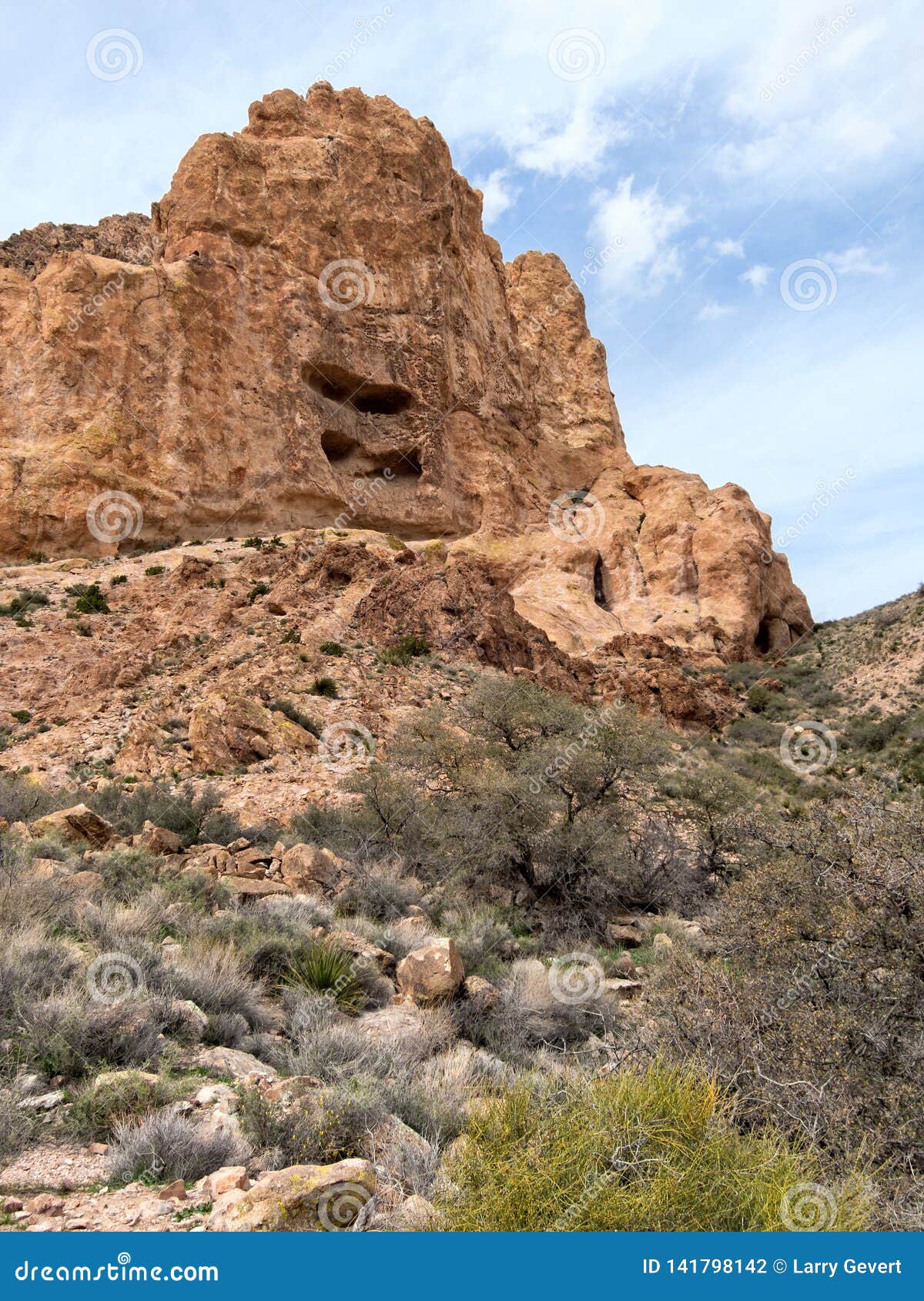 Caves in the Mount Nutt Wilderness Stock Photo - Image of historic ...