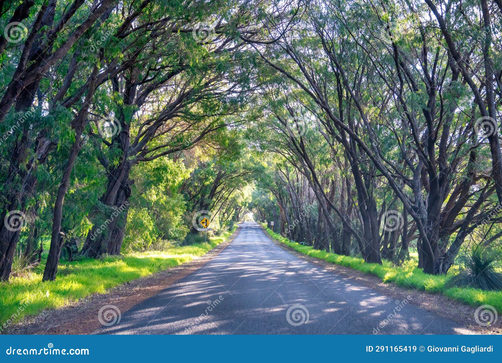 Caves Road in Western Australia Stock Image - Image of sink, hole ...