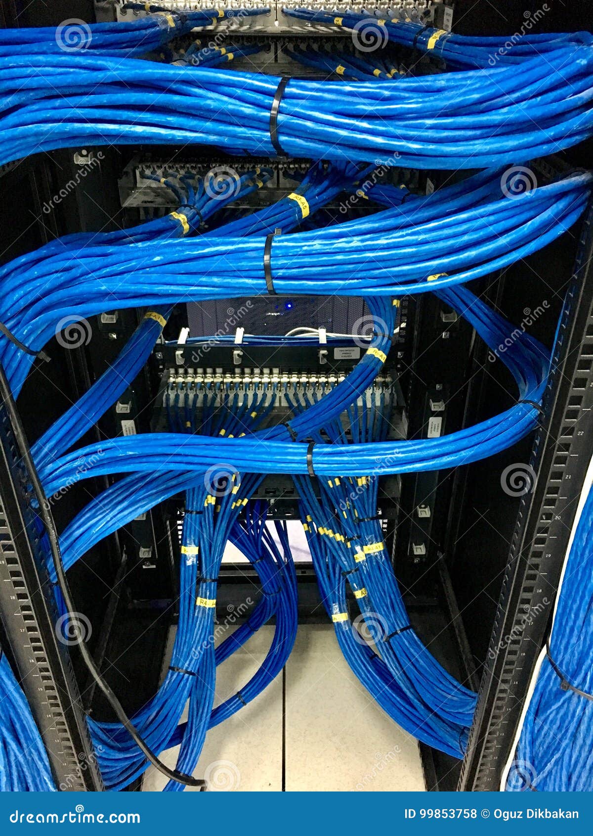 Cavi Della Rete Di Computer Nel Quadro D'interconnessione Di UTP ...