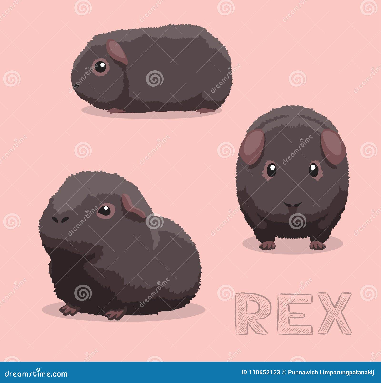 Cavia Rex Cartoon Vector Illustration Illustrazione Vettoriale ...