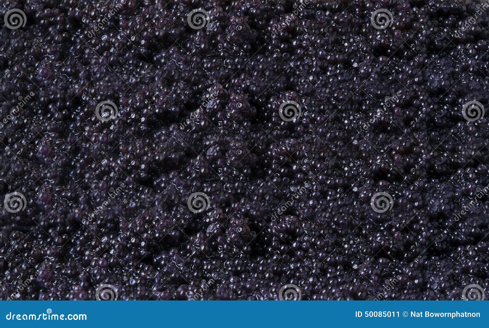 Caviar background stock image. Image of prepared, snack - 50085011