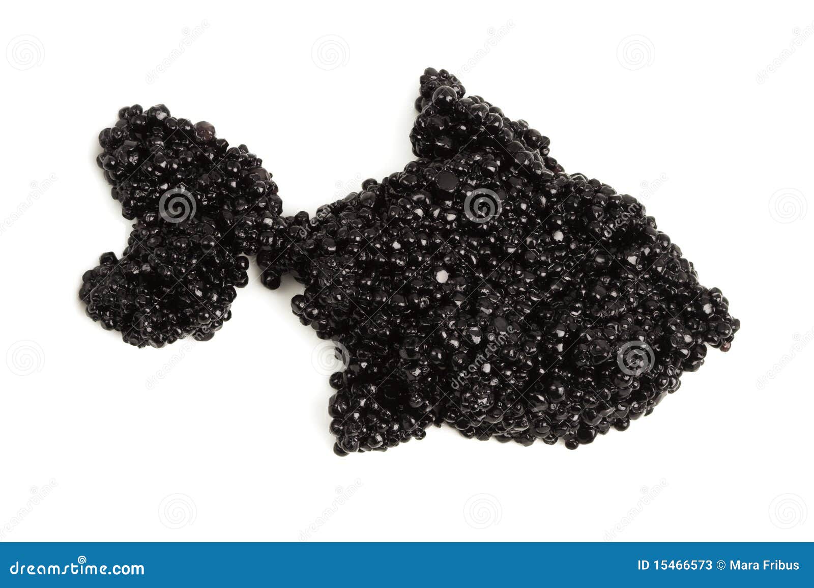 Caviar fish stock image. Image of caviar, macro, appetizer - 15466573