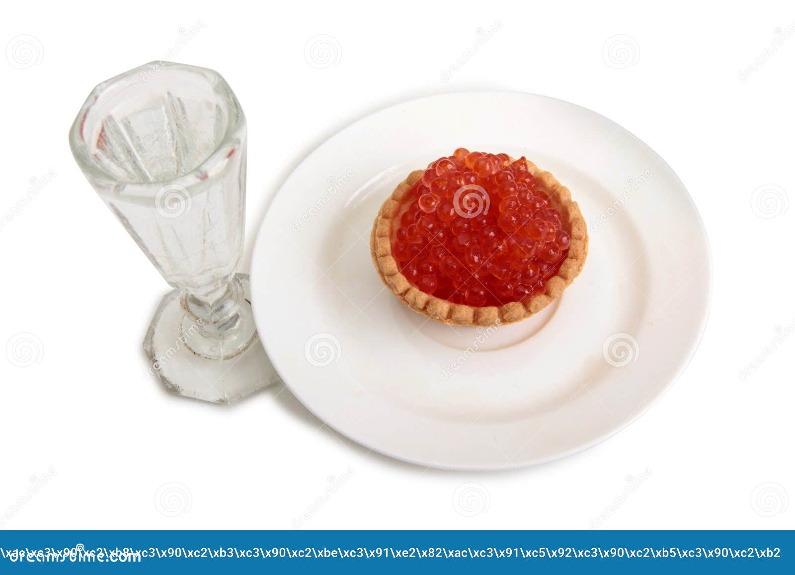 Caviar and vodka five stock photo. Image of lunch, diet - 91056052