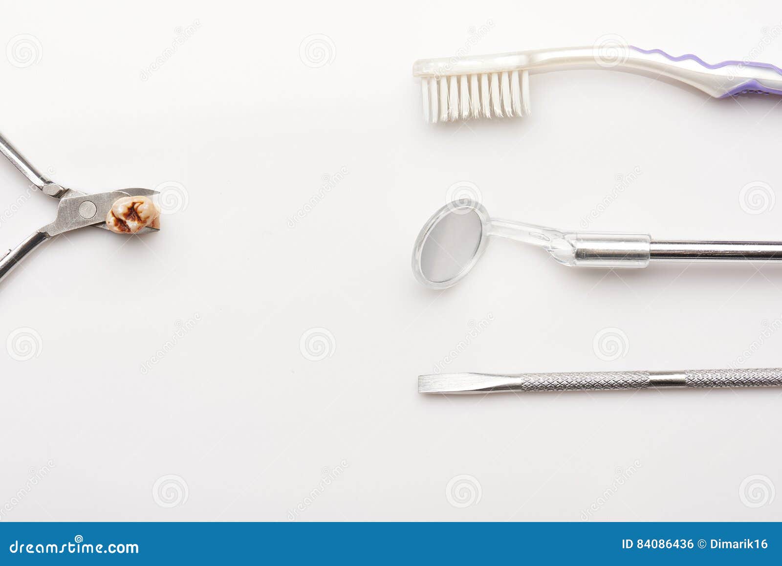 Cavity on extracted teeth stock photo. Image of healthcare - 84086436
