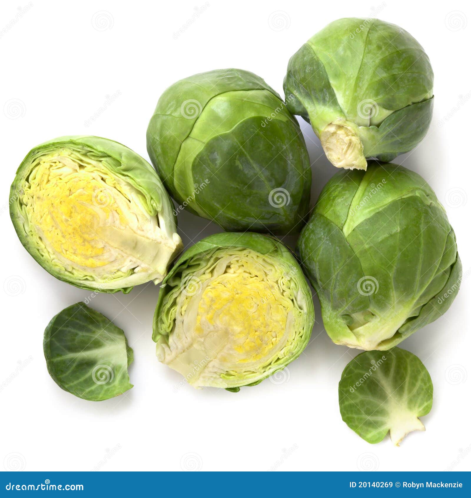 Cavoletti di Bruxelles immagine stock. Immagine di bianco - 20140269