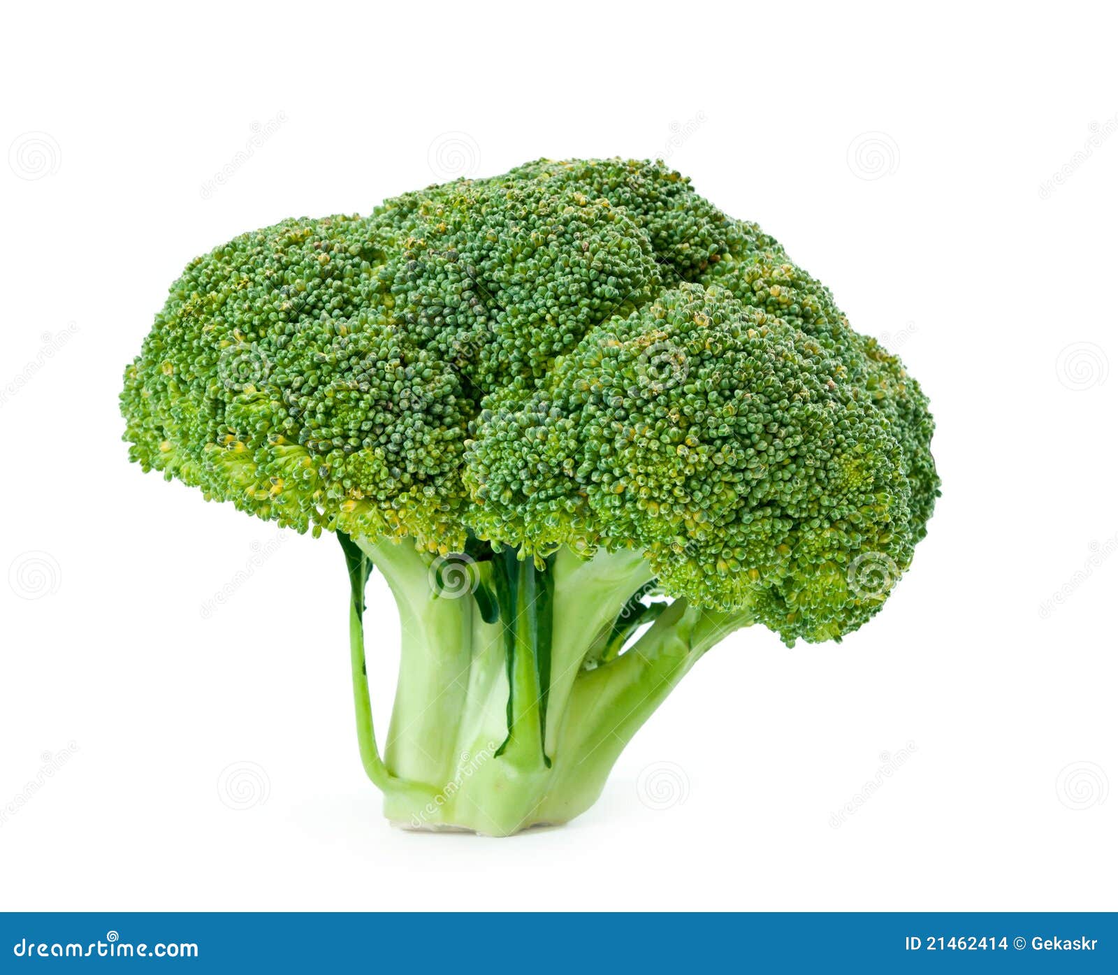 Cavolfiore verde fotografia stock. Immagine di alimento - 21462414