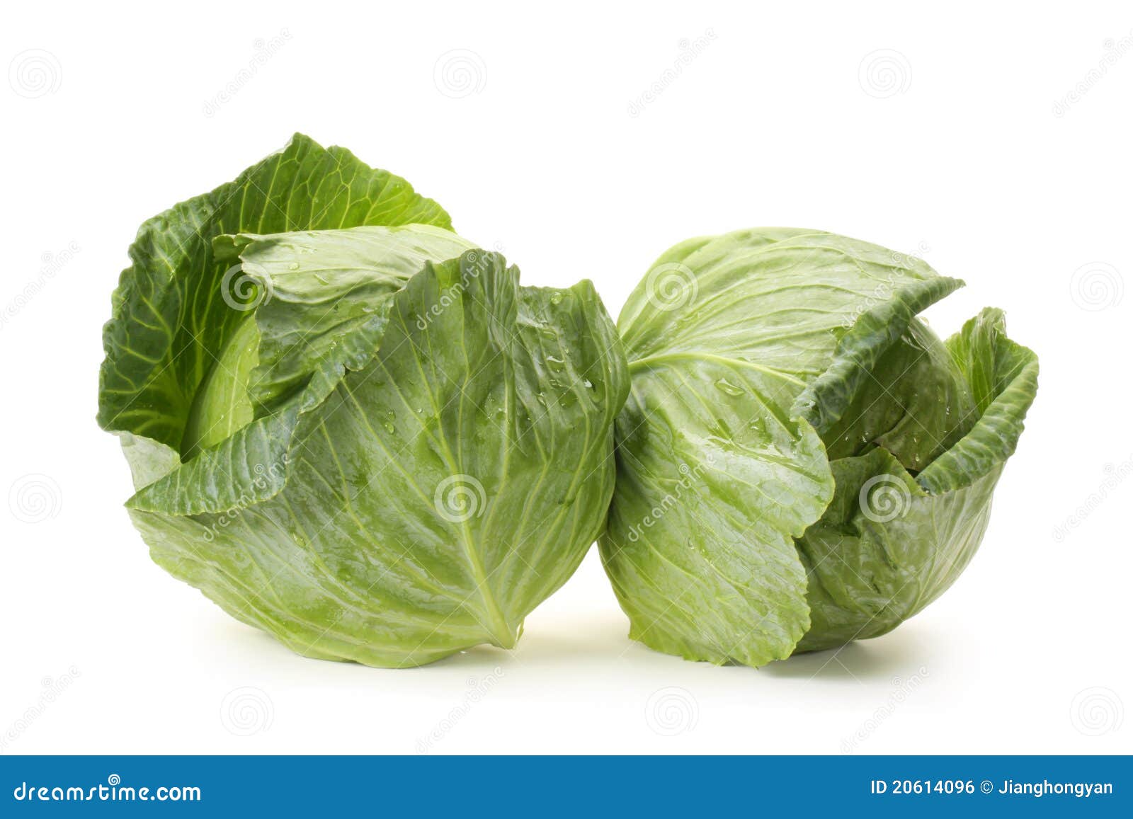 Cavoli fotografia stock. Immagine di verde, fogli, sano - 20614096