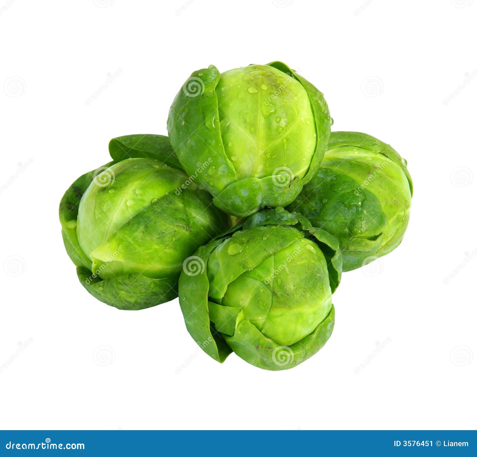 Cavolini di Bruxelles 01 immagine stock. Immagine di vegetariano - 3576451