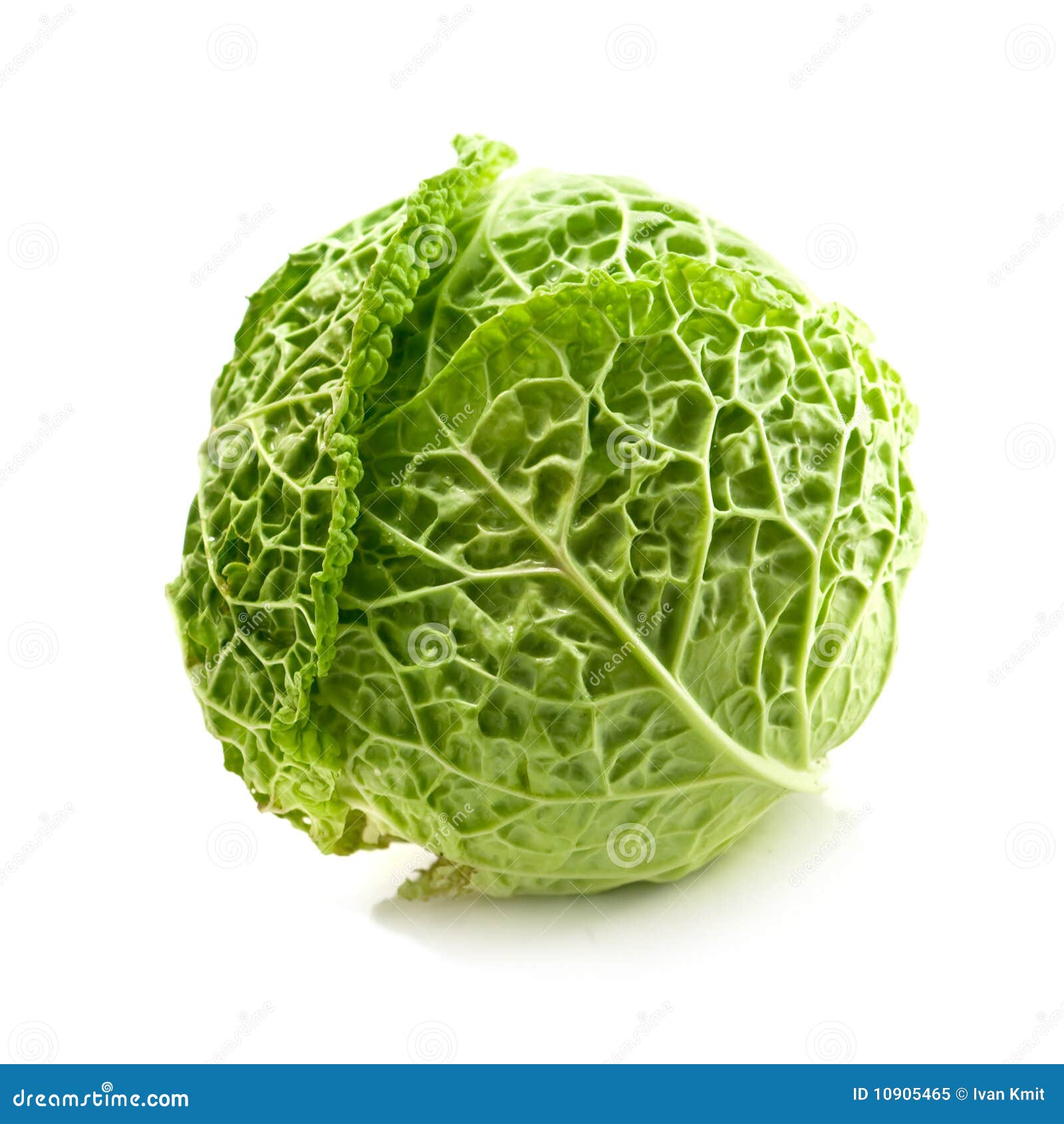 Cavolo immagine stock. Immagine di foglio, consumo, nave - 10905465