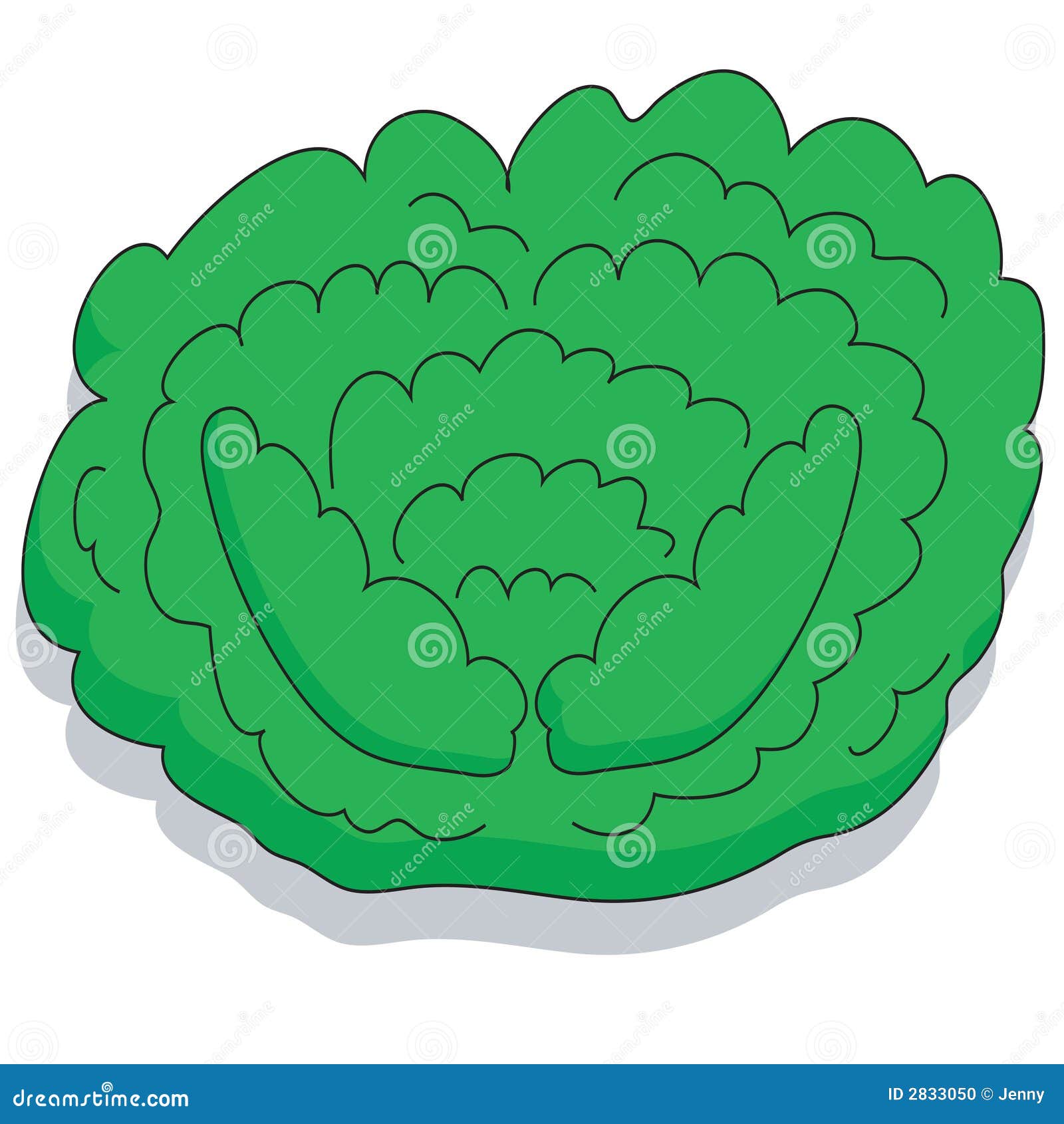 Cavolo illustrazione di stock. Illustrazione di germogli - 2833050