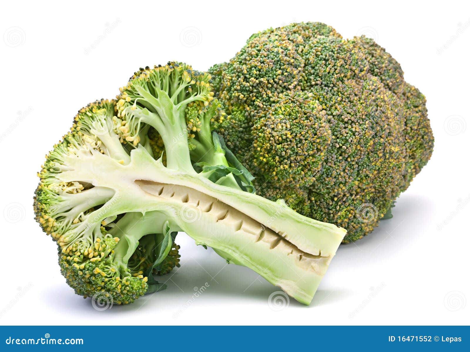 Cavolo del broccolo fotografia stock. Immagine di ingrediente - 16471552