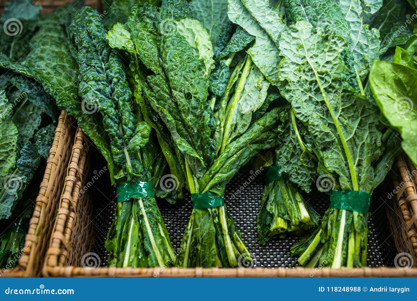 Cavolo del cavolo verde fotografia stock. Immagine di nutrizione ...