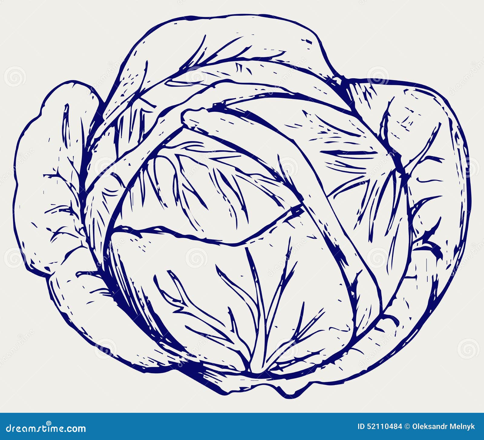 Cavolo Doodle lo stile illustrazione vettoriale. Illustrazione di ...