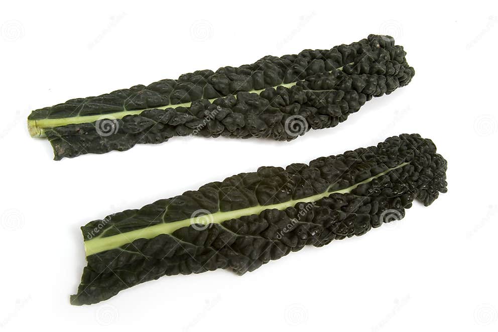 Cavolo Nero or Italian Cabbage Stock Photo - Image of natural, studio ...