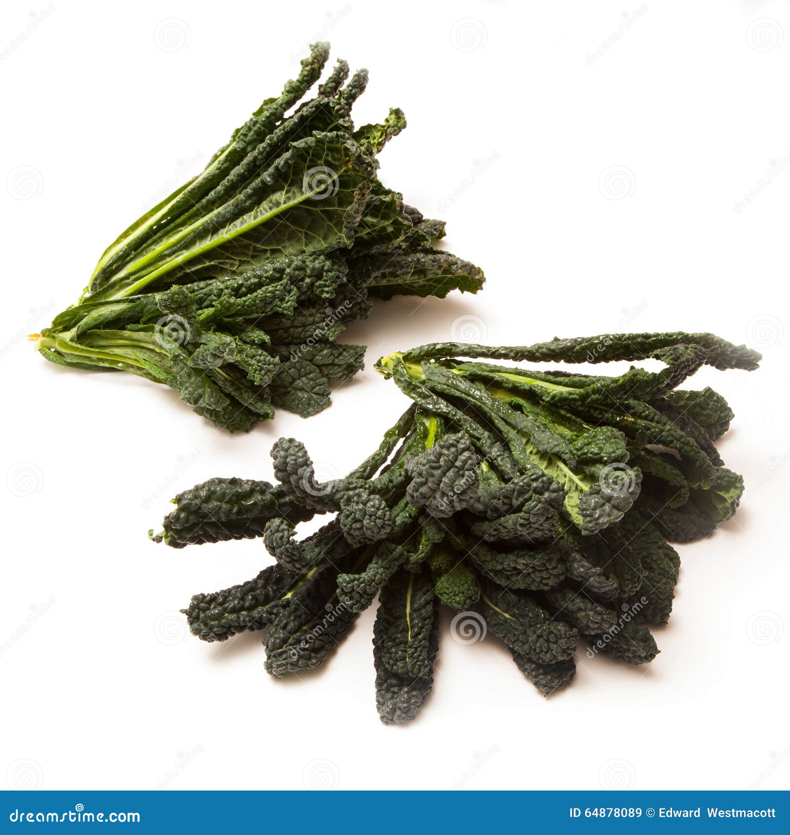 Cavolo Nero an Italian Cabbage. Stock Image - Image of italian, organic ...