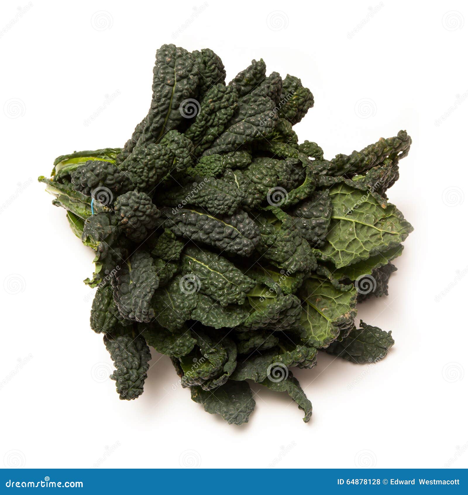 Cavolo Nero an Italian Cabbage. Stock Photo - Image of isolated ...