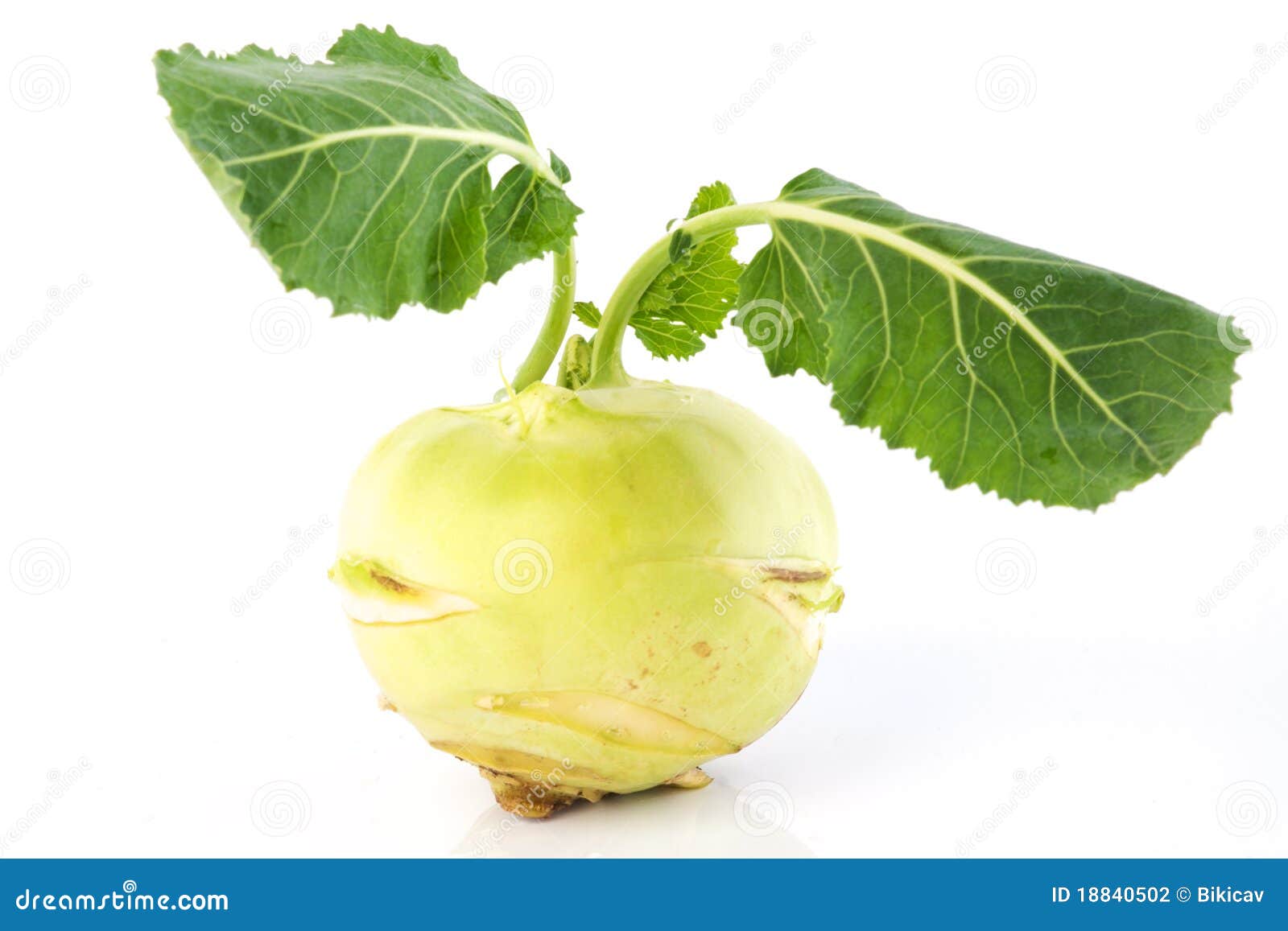 Cavolo rapa fotografia stock. Immagine di radice, organico - 18840502