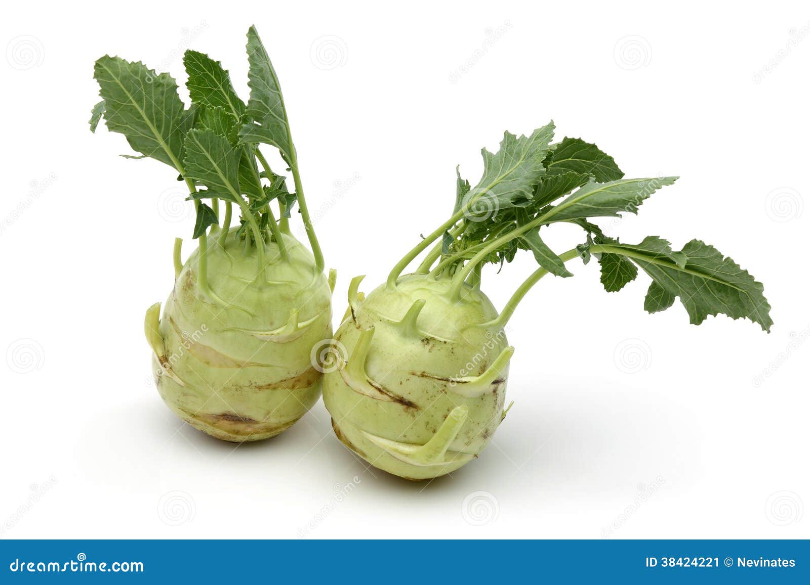 Cavolo rapa bianco immagine stock. Immagine di naughty - 38424221