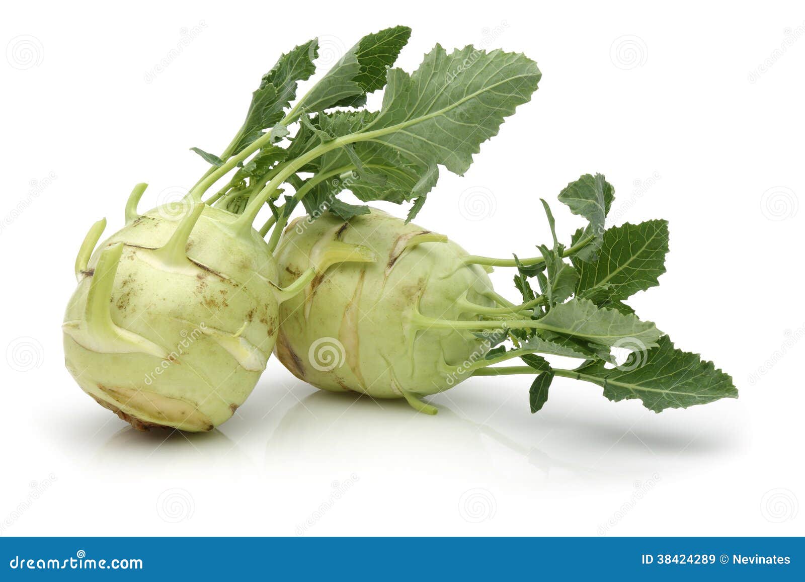 Cavolo rapa bianco immagine stock. Immagine di sano, kelly - 38424289