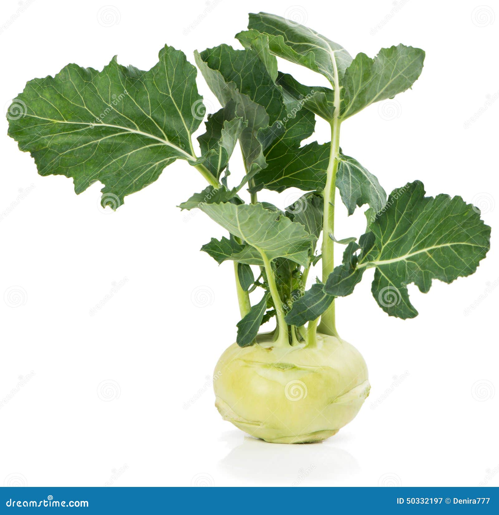 Cavolo Rapa (brassica Oleracea L ) Immagine Stock - Immagine di ...