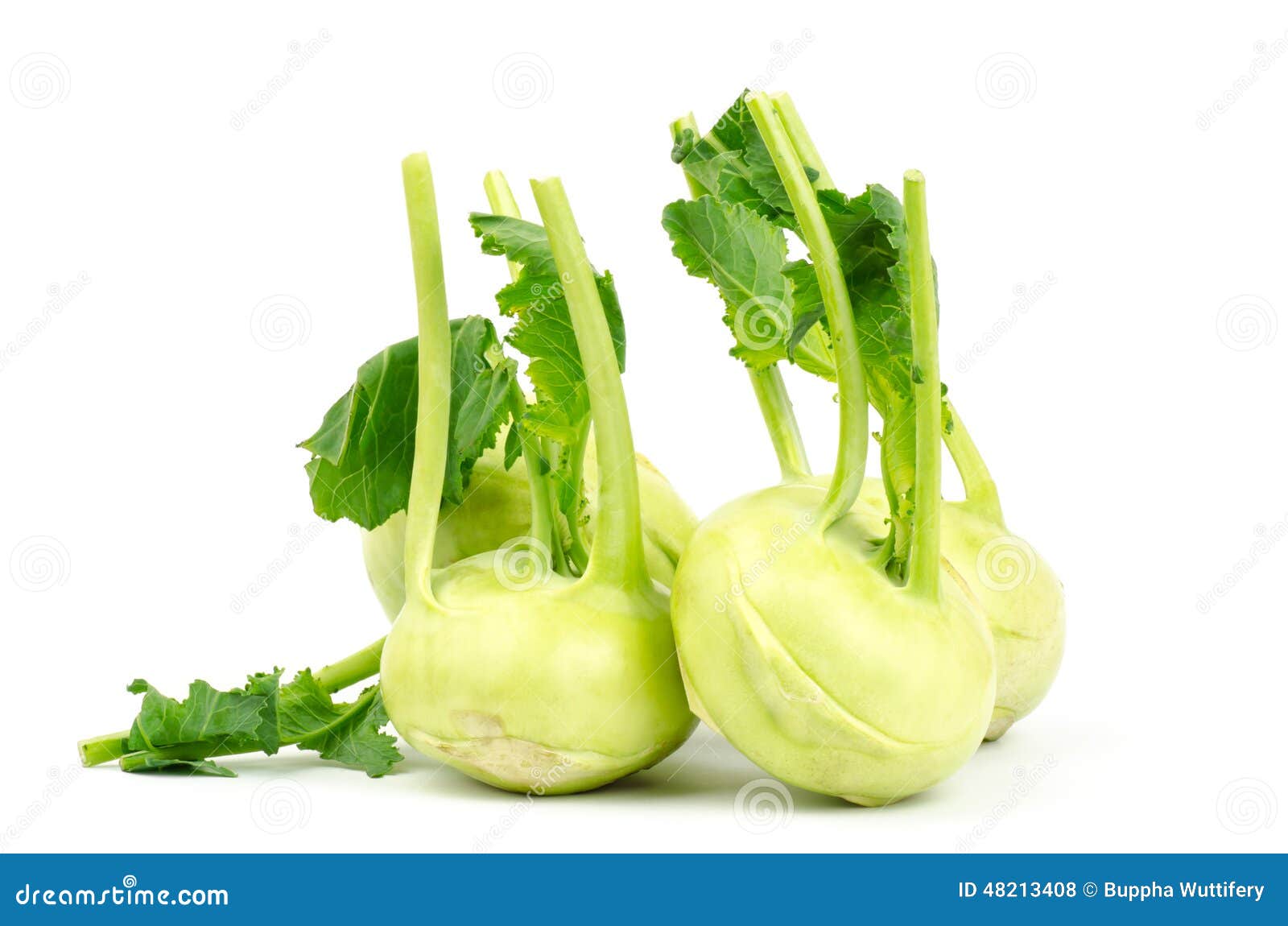 Cavolo rapa fresco fotografia stock. Immagine di foglio - 48213408