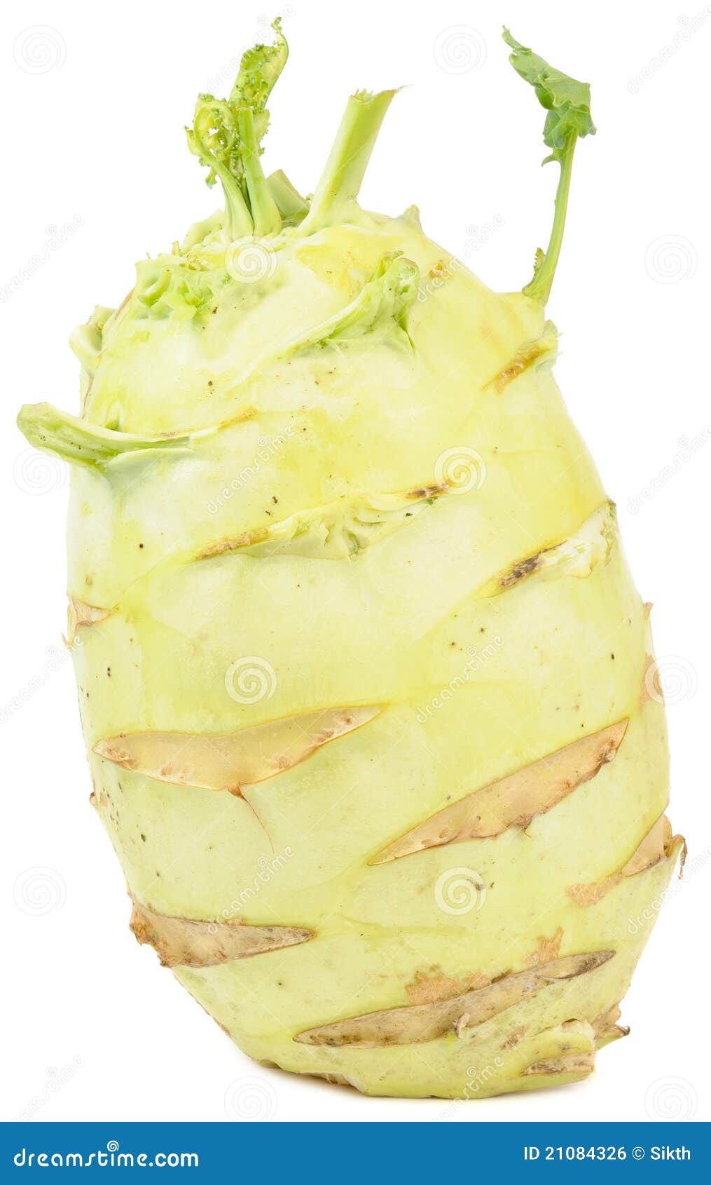 Cavolo rapa (rapa tedesca) fotografia stock. Immagine di sfondo - 21084326